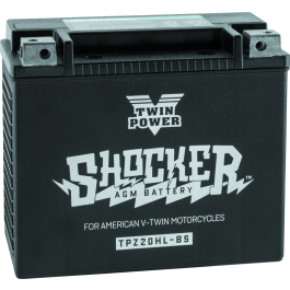 TWP Shocker Batteries TWIN-781154: Reliable Power Source